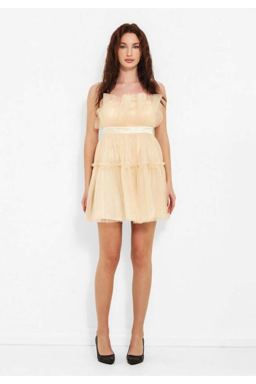Kadın Tüllü Kabarık Mini Parti Elbisesi